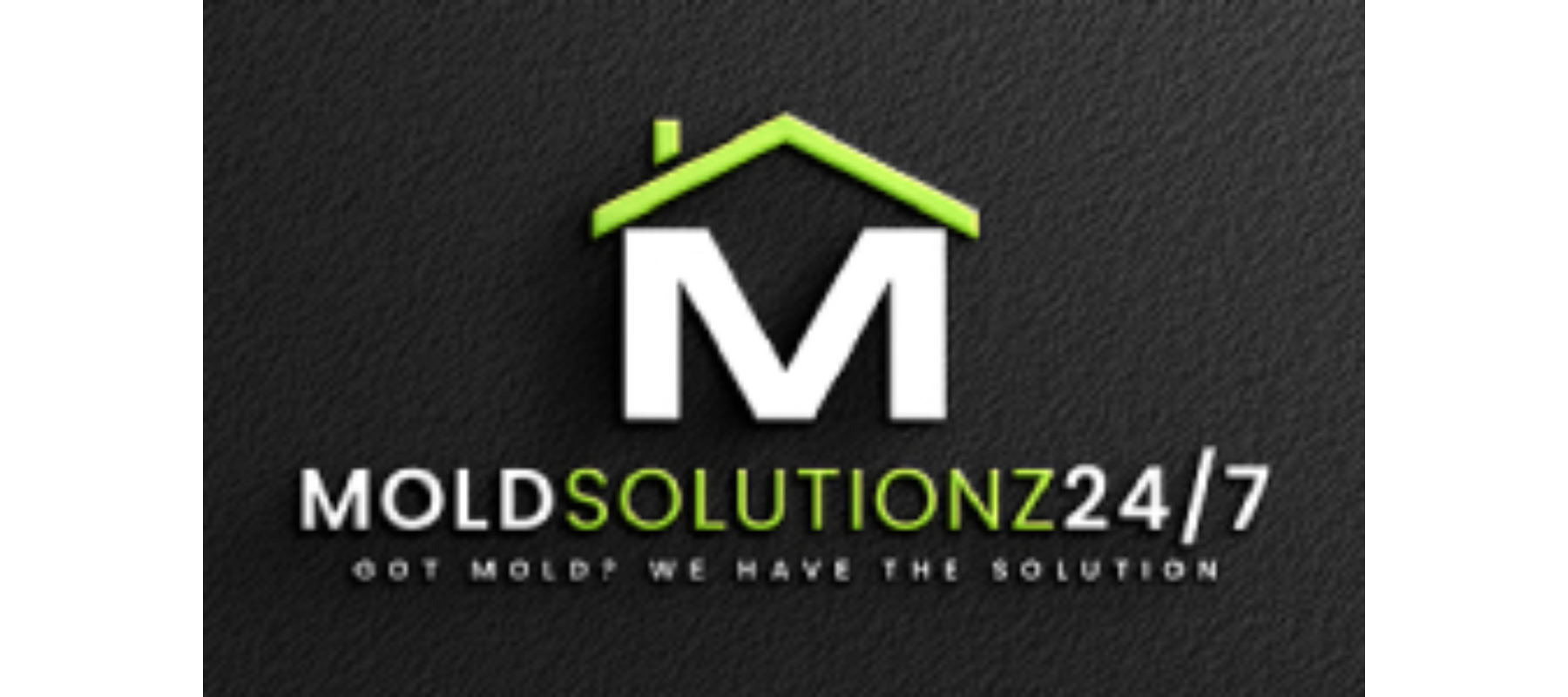 Professional Mold Removal Contractors in Cerritos CA